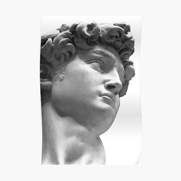 "David Statue, Aesthetic Room Decor, David, Rome statue, Greek ...