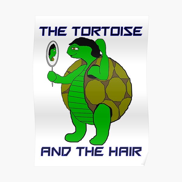 "The Tortoise and the Hair" Poster by PharrisArt | Redbubble