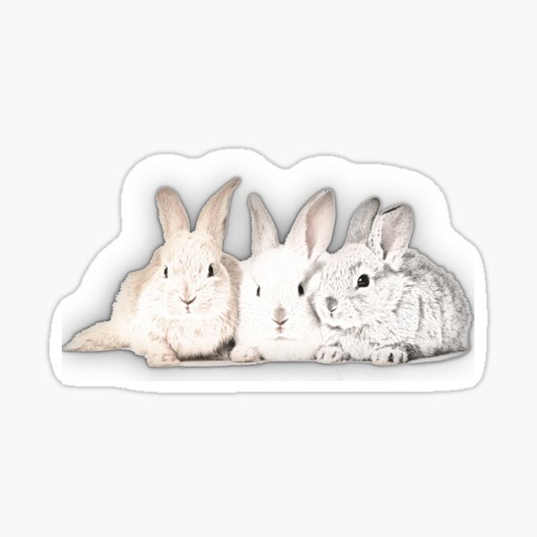 "Three White Rabbits" Sticker for Sale by jelly-bear | Redbubble