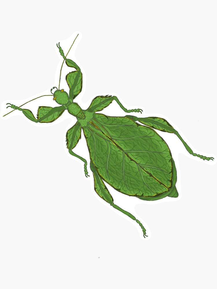 "Wandering leaf" Sticker for Sale by WithAnS | Redbubble