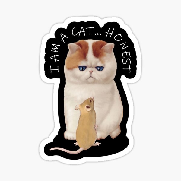 "I am a cat... honest - funny cat and mouse meme" Sticker for Sale by ...