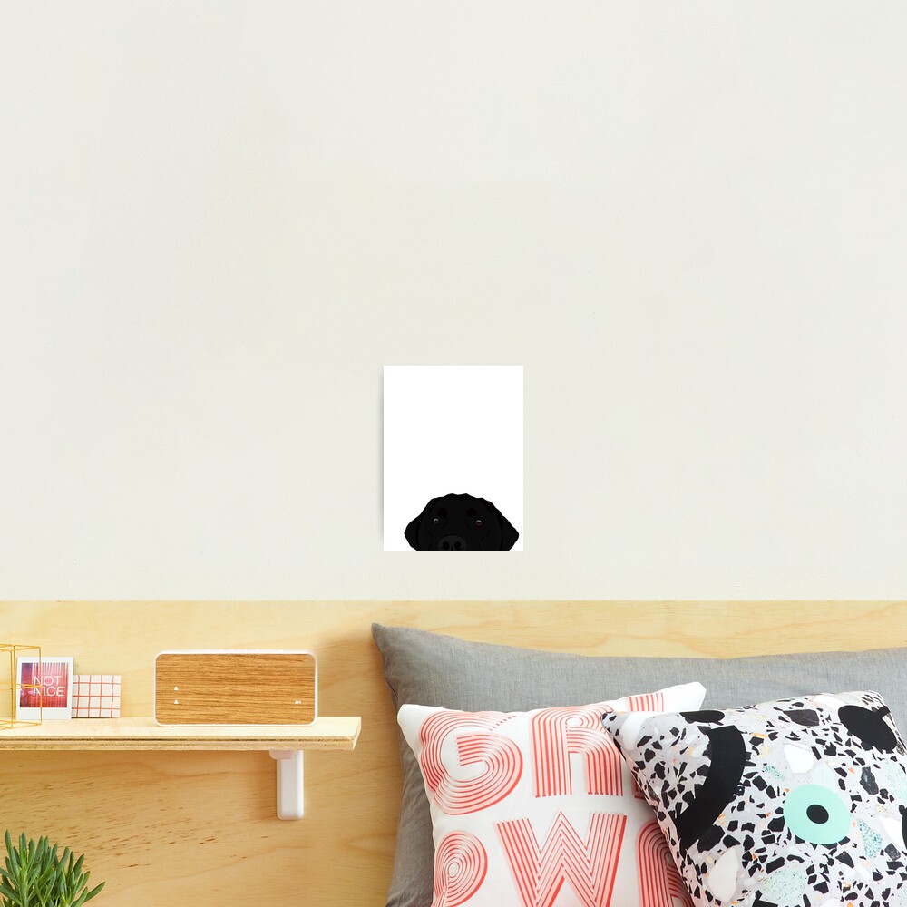 "Curious Black Labrador" Sticker for Sale by kherrin | Redbubble