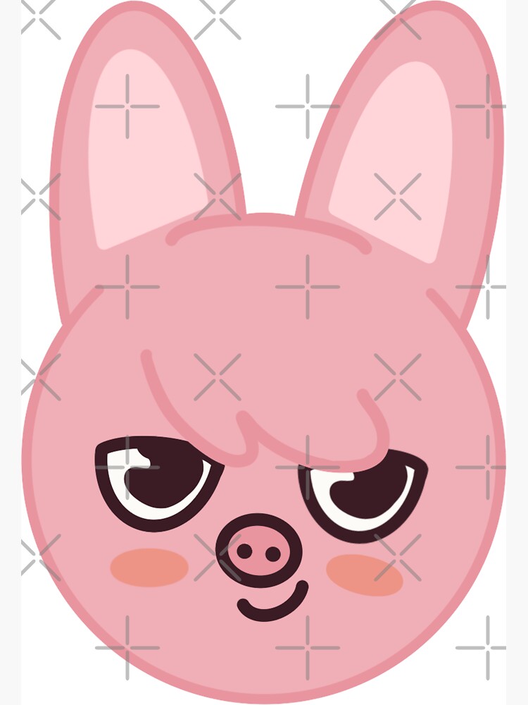 "Dwaekki Changbin Stray Kids Skzoo" Magnet for Sale by euphoriaforest ...