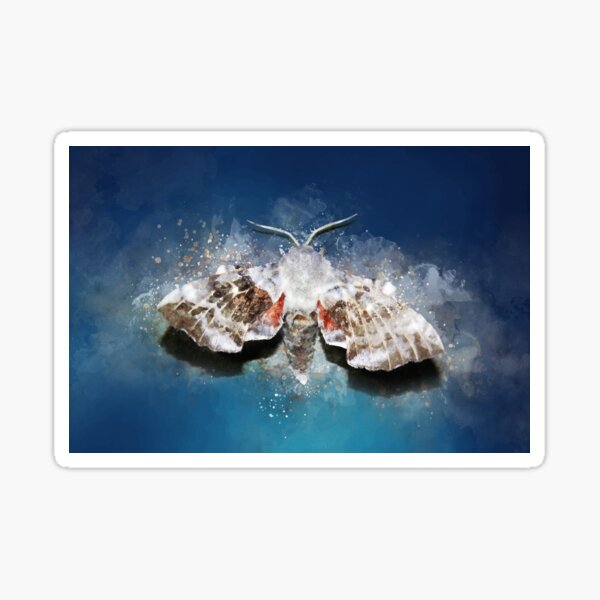 "Poplar hawk-moth" Sticker for Sale by WesternExposure | Redbubble