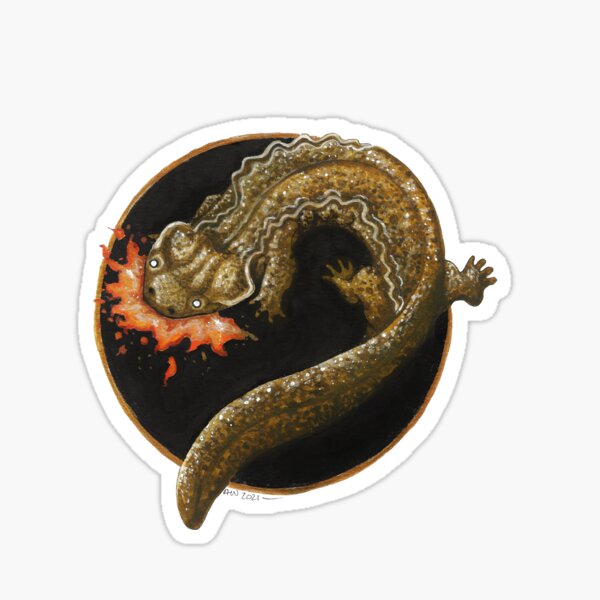 "Hellbender Salamander " Sticker for Sale by ArtByArielW | Redbubble