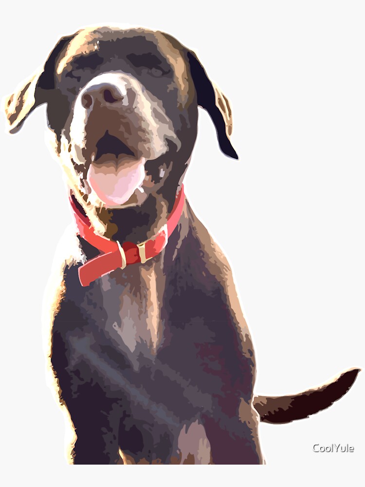 "Chocolate Labrador" Sticker for Sale by CoolYule | Redbubble