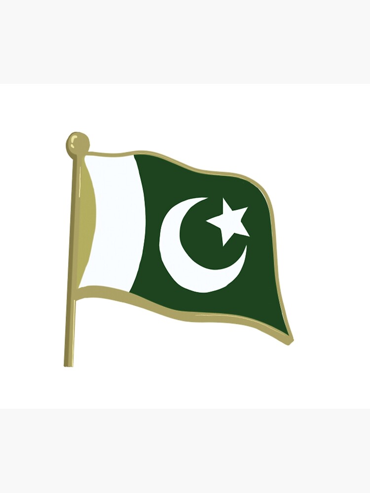"Classic Metal Badge Pakistani Flag Design " Poster for Sale by ...