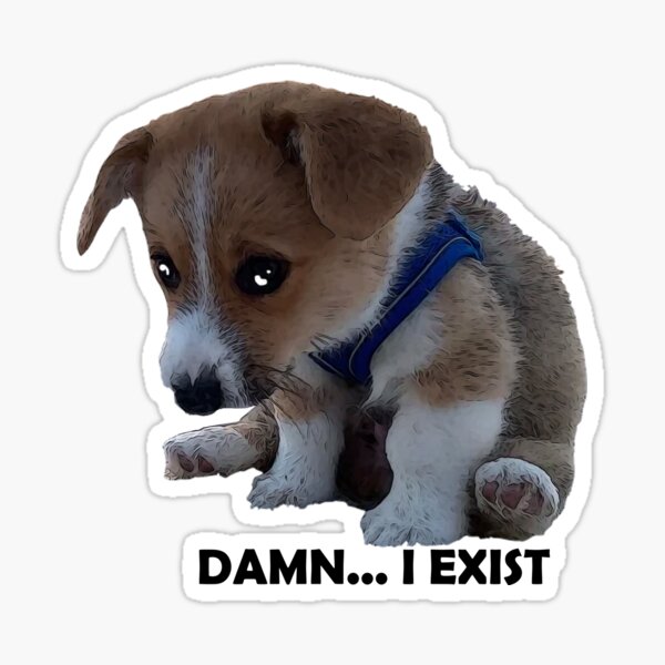 "Sad doggo exists" Sticker for Sale by ChaosBork | Redbubble