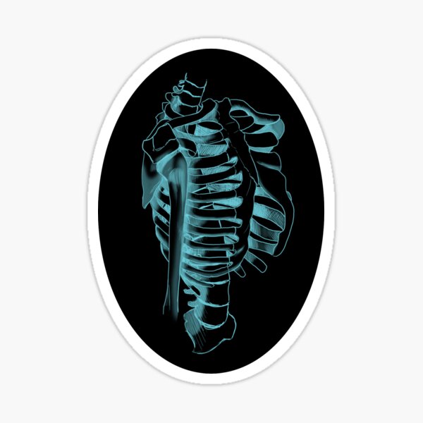 "Inverted Ribs" Sticker for Sale by Dinkyinky | Redbubble