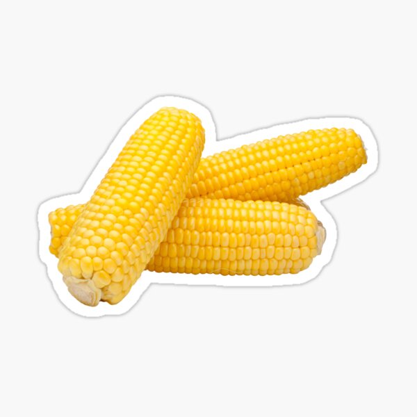 "Life is a Maize" Sticker by RRHYKNO | Redbubble
