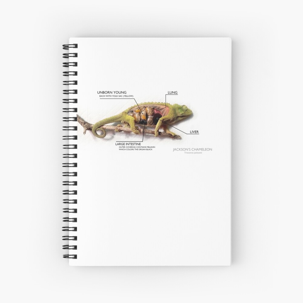 "Jackson's Chameleon Anatomy with Labels" Spiral Notebook for Sale by ...