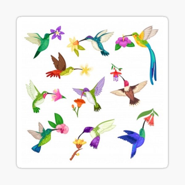 "Hummingbirds" Sticker by UniqueArt4u | Redbubble
