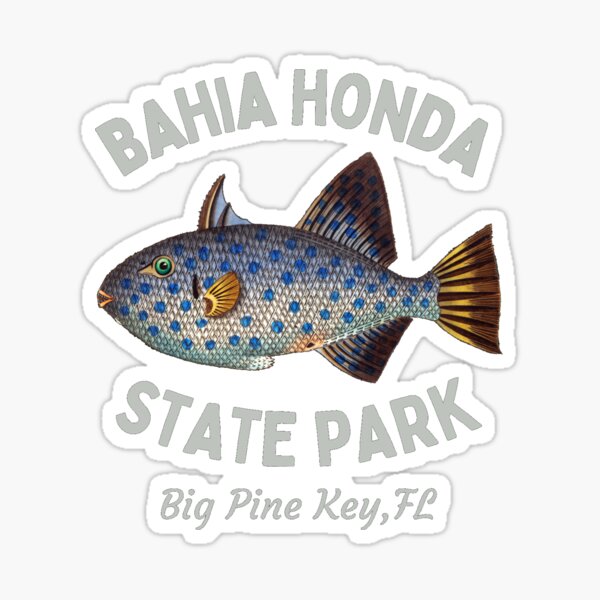 "Bahia Honda State Park, Big Pine Key, Florida, Gray Text- Vacation ...