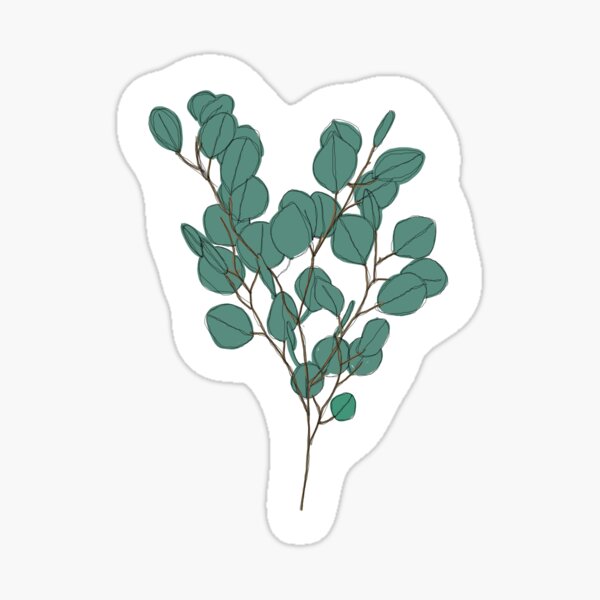 "Eucalyptus" Sticker for Sale by artbylizz | Redbubble