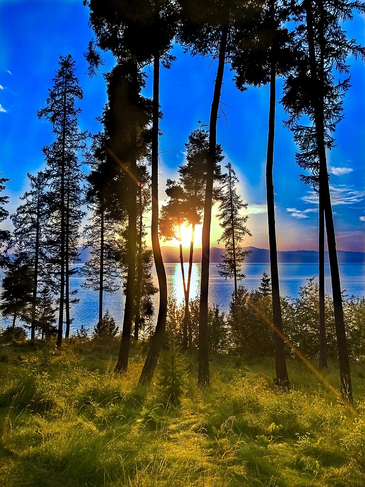 "Flathead Lake " Poster by DrPepperPhD | Redbubble