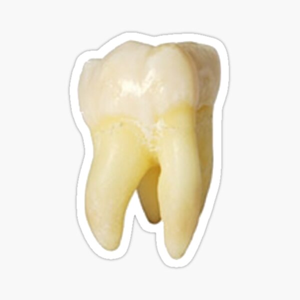 Dental Merch & Gifts for Sale | Redbubble