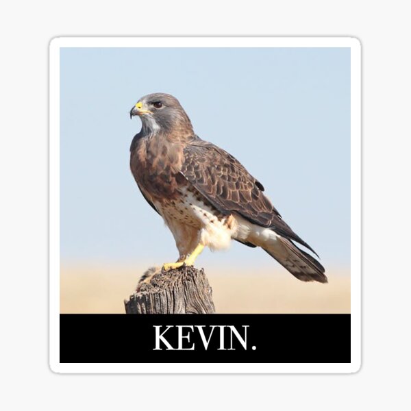 "Kevin" Sticker for Sale by rissaduff | Redbubble