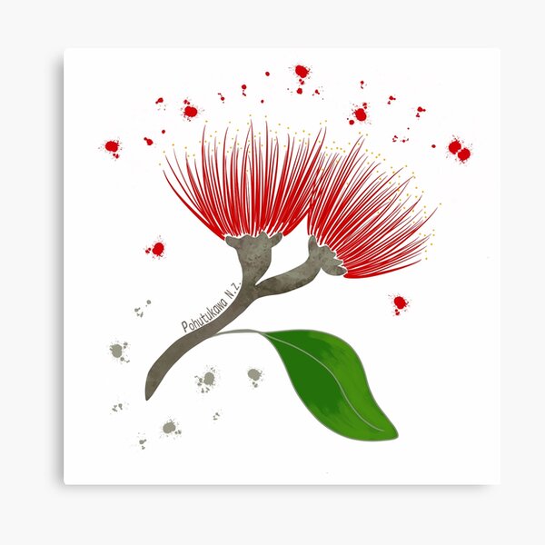 Pohutukawa Canvas Prints | Redbubble