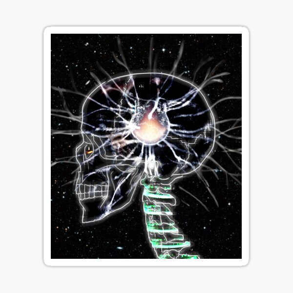 "Waste of Space" Sticker for Sale by JarheadVisuals | Redbubble