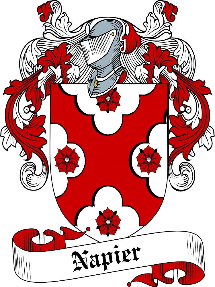 "Napier" Poster for Sale by HaroldHeraldry | Redbubble