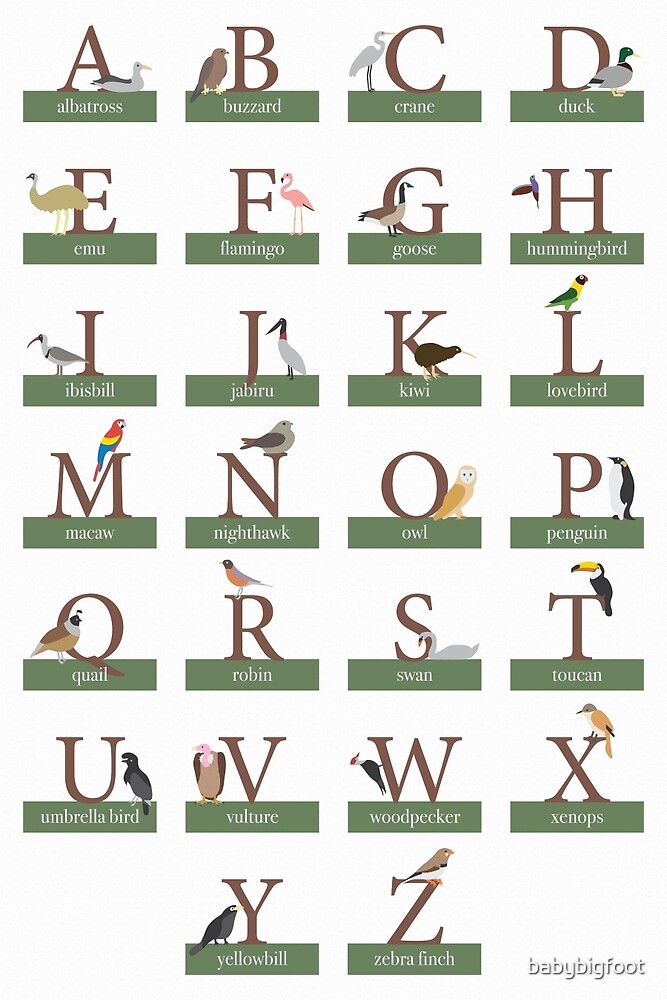 "Bird Alphabet" by babybigfoot | Redbubble