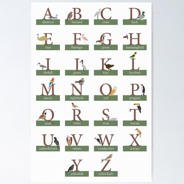 "Bird Alphabet" Poster for Sale by babybigfoot | Redbubble