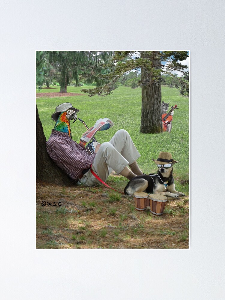 "Bongo Dog Wag" Poster for Sale by stanzan | Redbubble