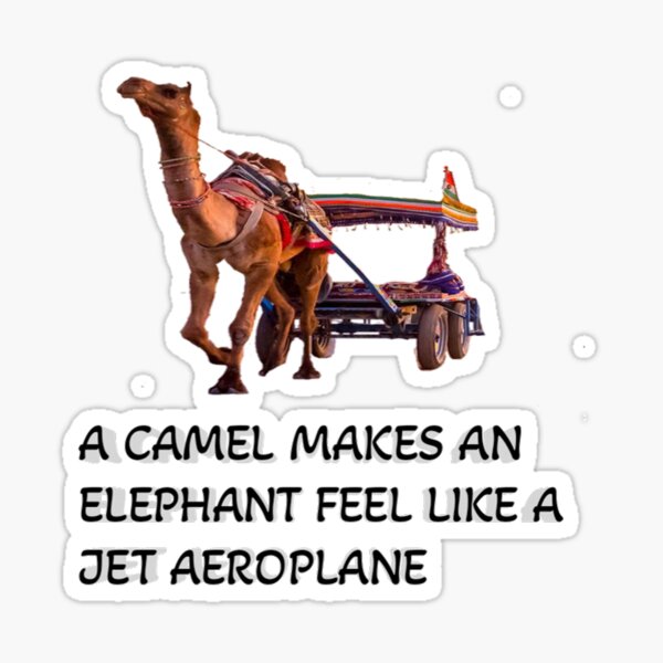 "CAMEL " Sticker for Sale by NonuSidu | Redbubble