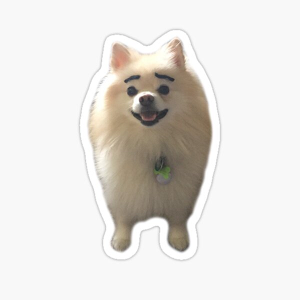 "Heh Dog Meme" Sticker for Sale by CatDealer | Redbubble