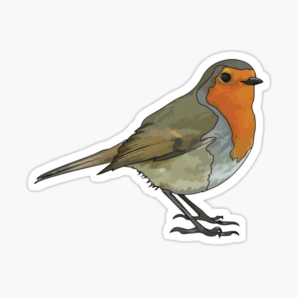Robin Bird Stickers | Redbubble