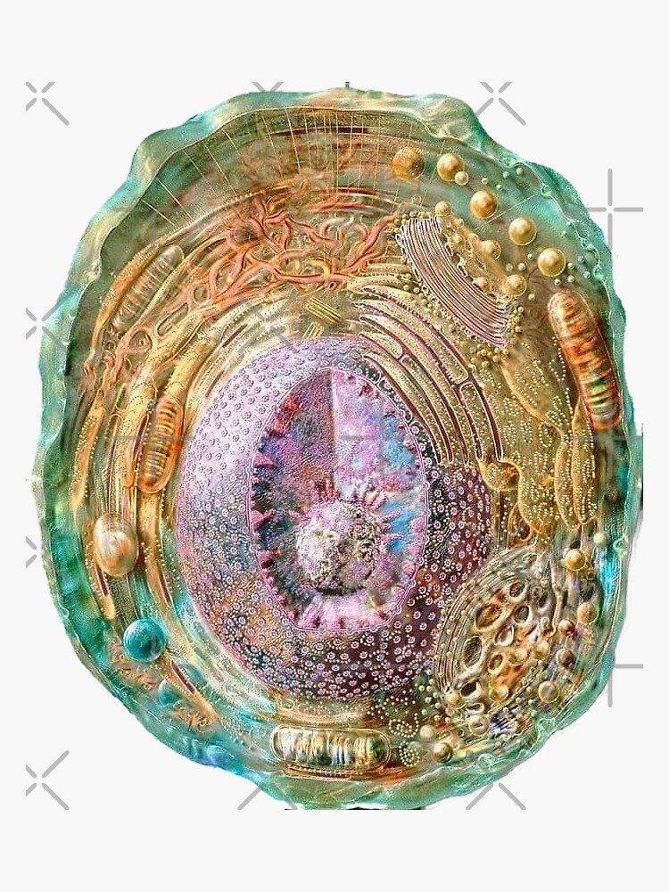 "Animal cell" Sticker for Sale by Stratoguayota | Redbubble