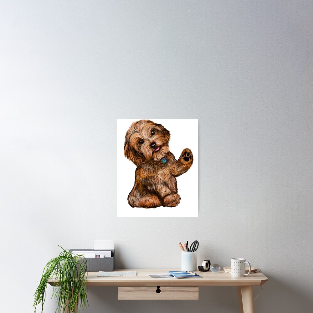 Póster «Cavapoochon Cavapoo Cavoodle Black and Tan cabeza inclinada y ...