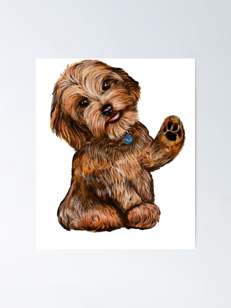 Póster «Cavapoochon Cavapoo Cavoodle Black and Tan cabeza inclinada y ...