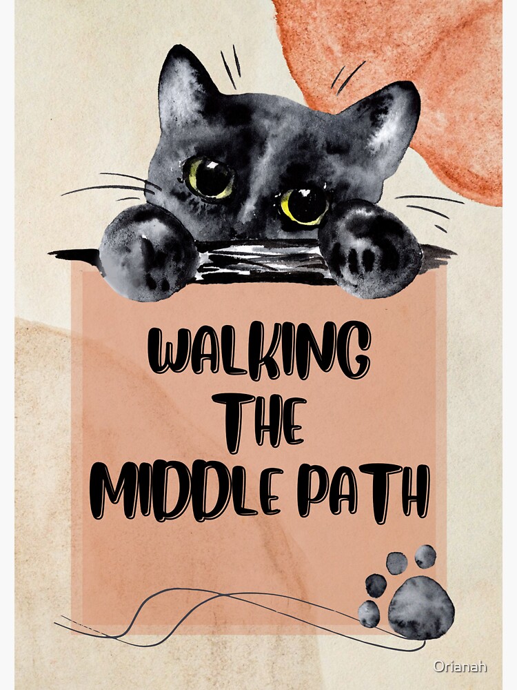 "Walking the Middle Path. DBT, compromise, validation, flexibility ...