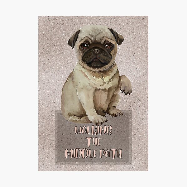 "Walking the Middle Path. DBT, compromise, validation, flexibility ...