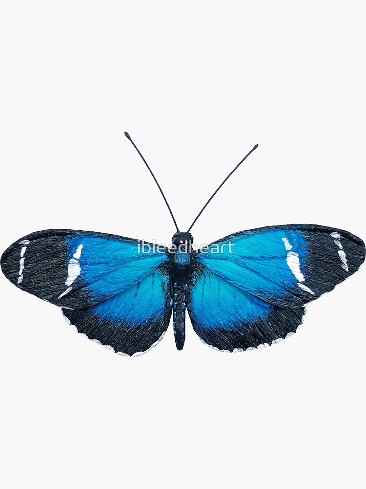 "Blue Postman Butterfly" Sticker for Sale by ibleedheart | Redbubble