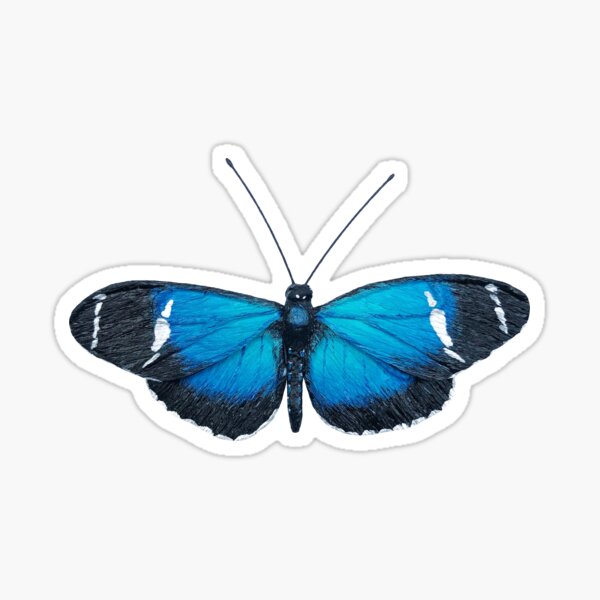 "Blue Postman Butterfly" Sticker for Sale by ibleedheart | Redbubble