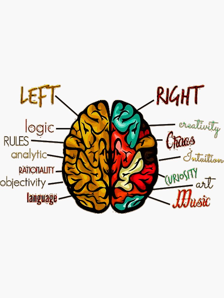 "Logic or creative, left side or right side brain" Sticker for Sale by ...
