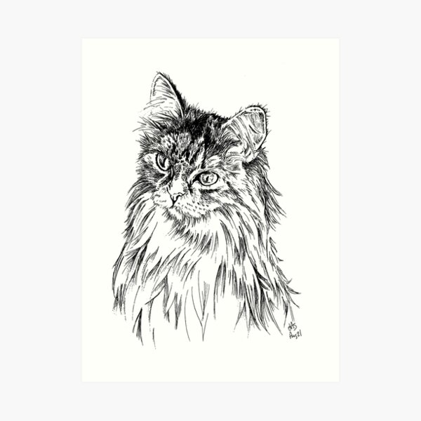 "Line Drawing of a Fluffy Cat" Art Print for Sale by JulieSpriddle ...