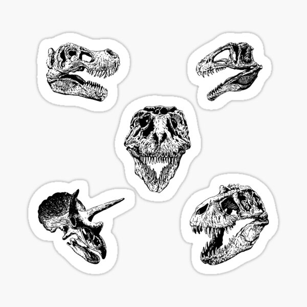 "Dinosaur Skulls" Sticker for Sale by Pavnud | Redbubble