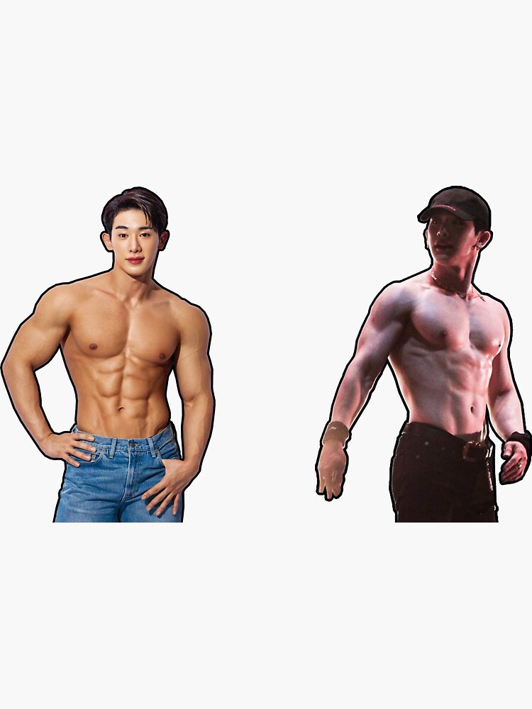"Wonho Sticker Pack" Sticker for Sale by kawaiicrossing | Redbubble