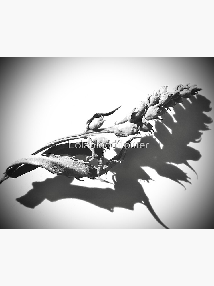 "Shadow form " Poster by Lolabloodflower | Redbubble