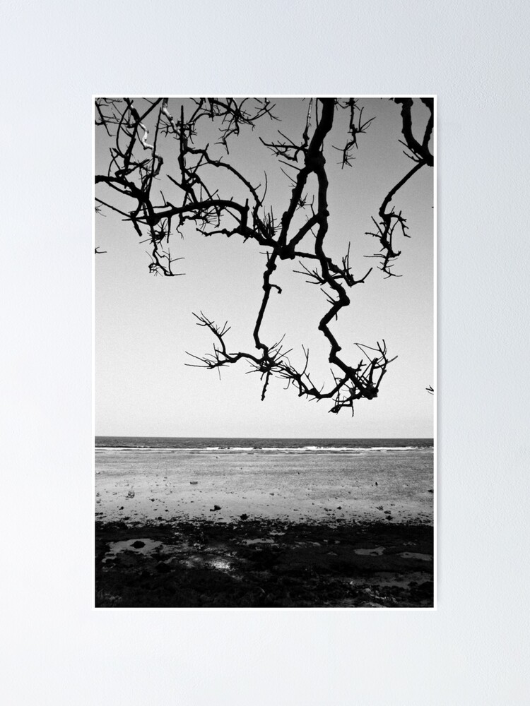 "tree branch" Poster for Sale by ThatHandsomeGuy | Redbubble