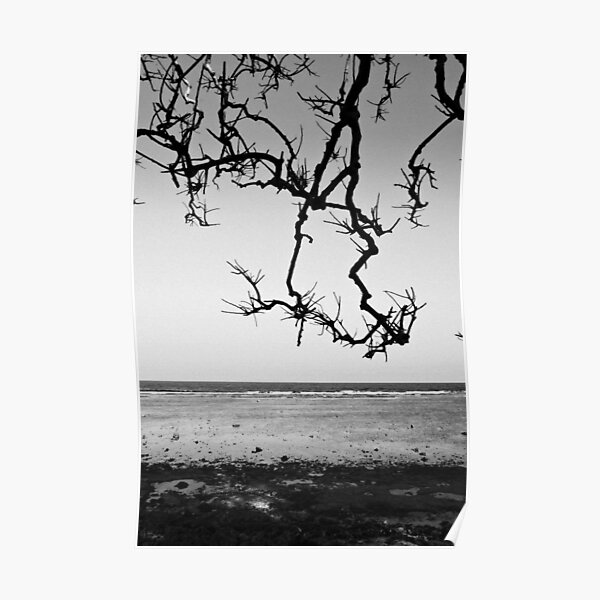 "tree branch" Poster for Sale by ThatHandsomeGuy | Redbubble