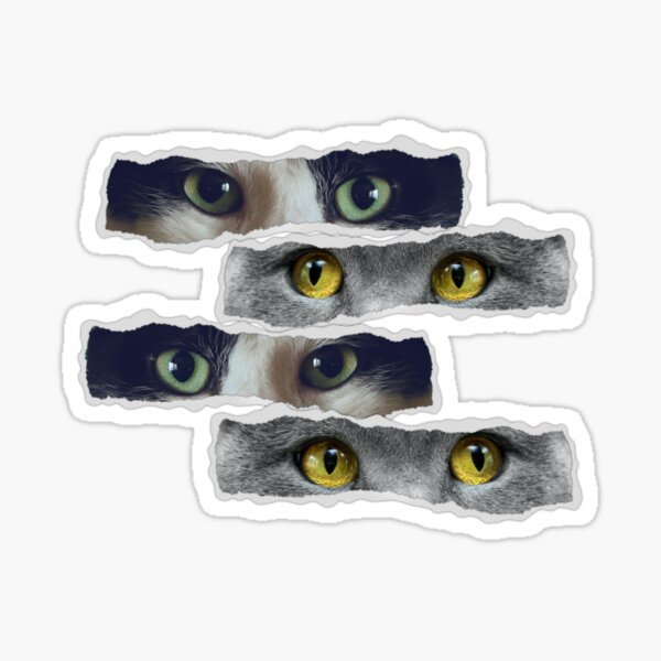 "cat eyes" Sticker for Sale by koolaazii | Redbubble