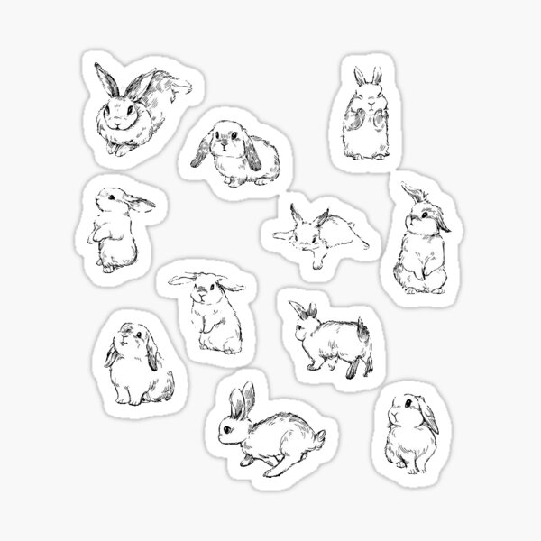 "cute rabbits sticker pack " Sticker for Sale by salemfoxy | Redbubble
