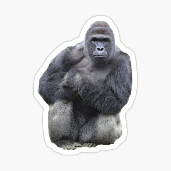 "Harambe" Sticker by 059029 | Redbubble