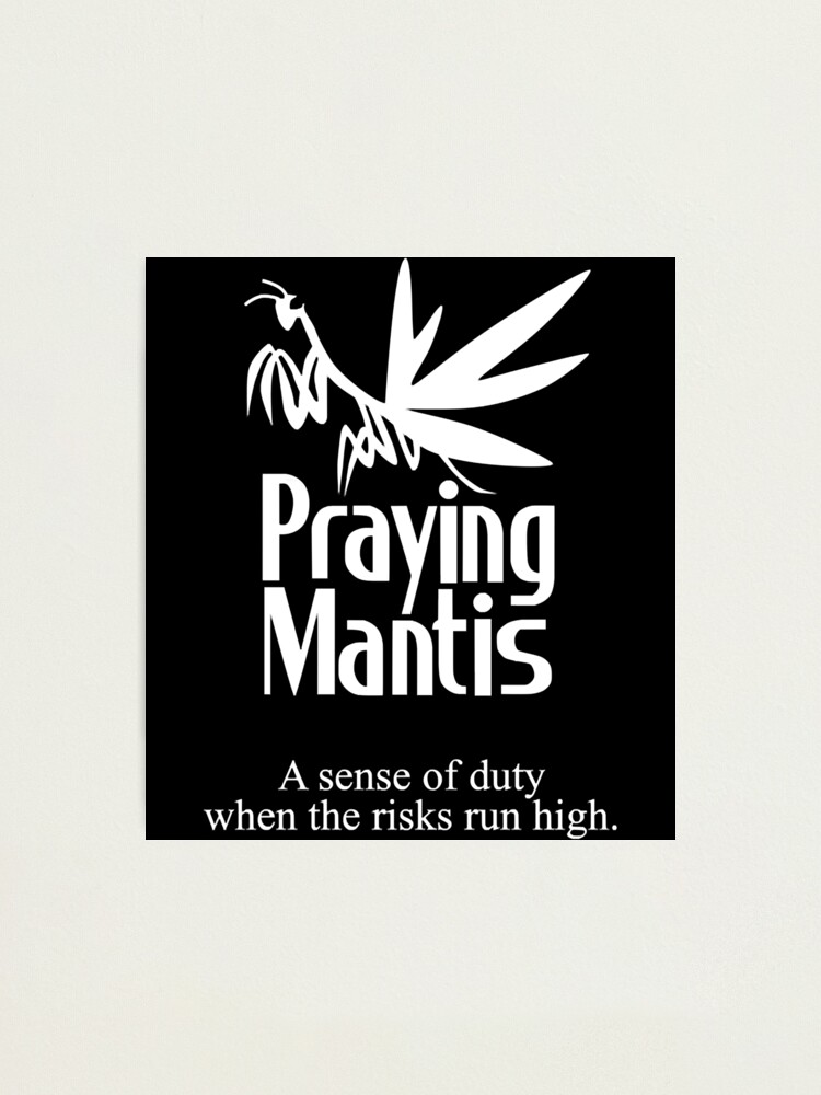 Lámina fotográfica «Metal Gear Solid Praying Mantis Emblem Brave ...