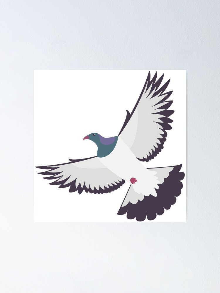 "Flying Kereru (New Zealand Wood Pigeon)" Poster for Sale by ...