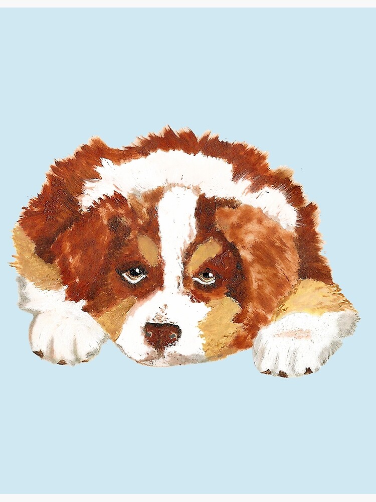 "Red Tri Australian Shepherd Puppy" Art Print by BApplegateArt | Redbubble